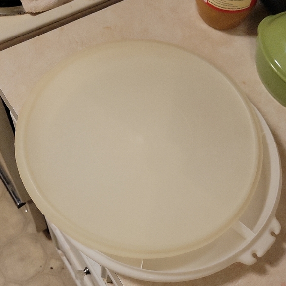 Tupperware | Kitchen | Tupperware Divided Food Container | Poshmark